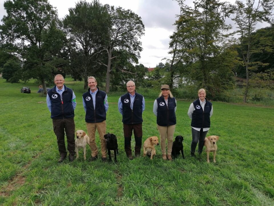 Salten Næs og BTGF 2021 - Sagnlandetslabrador